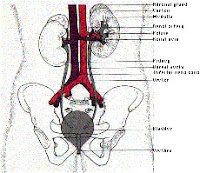 SINAR PERAK SEMARANG: Ren Mobilis-ku sembuh dengan Sinar Perak